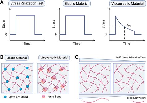 Viscoelastic Biomaterials For Tissue Regeneration Tissue Engineering Part C Methods