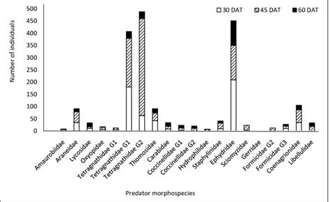 Abundance Of Individual Predators At 30 45 And 60 Days After Download Scientific Diagram