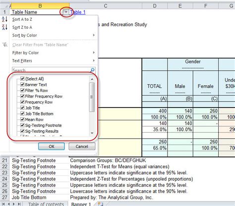 Generate Filtering Column Excel Options