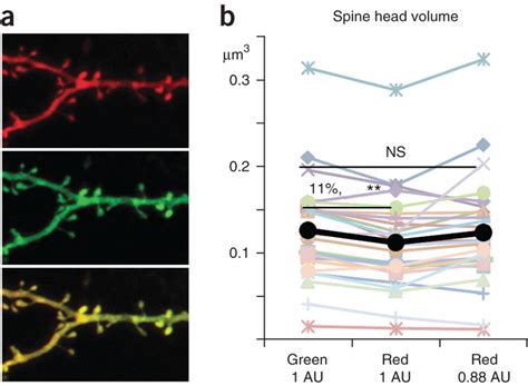Multiple Fluorophores Can Be Used Within An Experiment But The Pinhole