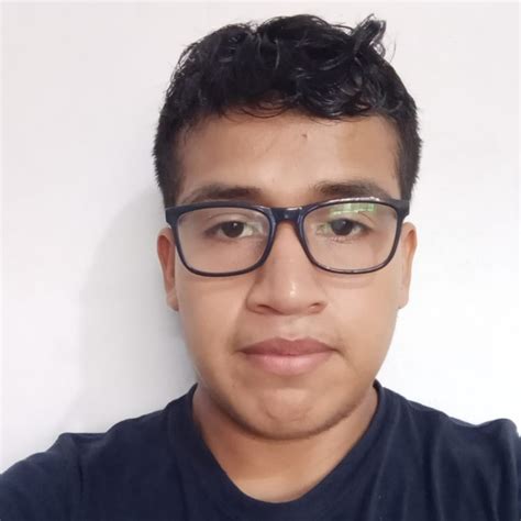 Alexis Julca Perú Perfil Profesional Linkedin