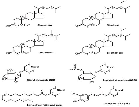 Typical Free And Conjugated Sterol Structures Download Scientific