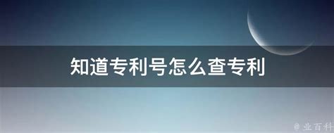 知道专利号怎么查专利 业百科