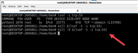 How To Kill A Linux Process Using A Port Number