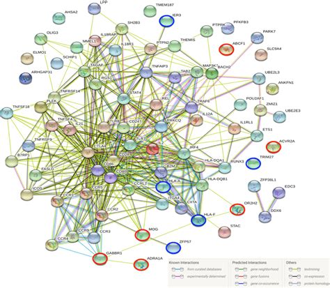 Functional Ppi Network Ppi Enrichment P Value 099 Download Scientific Diagram