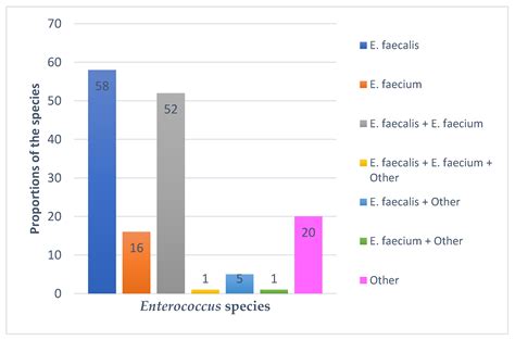 Enterococcus Faecium Vs Faecalis On Blood Agar Enterococcus Faecalis