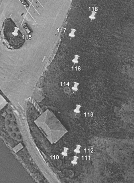 Tree Inventories Urban Forest Analytics