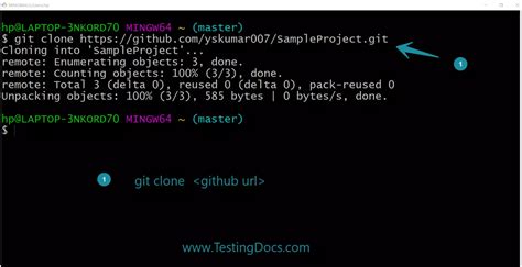 Clone An Existing Git Repository Testingdocs
