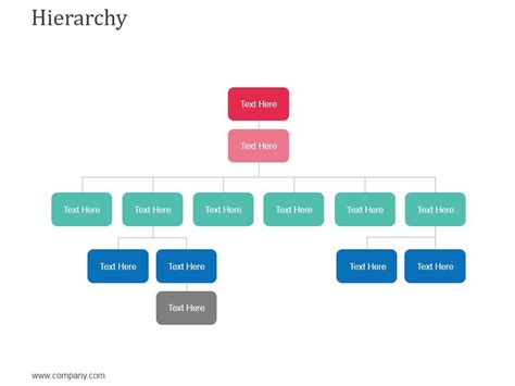 Hierarchy Ppt Powerpoint Presentation Slides Graphics
