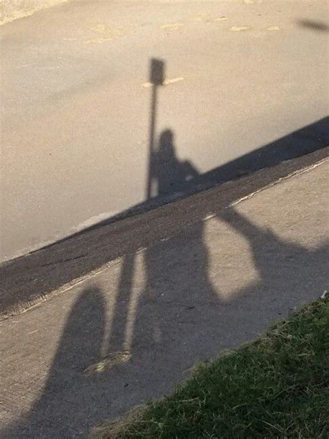 Shadow Waits At The Bus Stop Bus Stop Bus Shadow