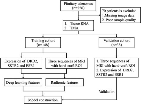 Multimodal Model For Non Invasive Detection Of Drd2 Sstr2 And Esr1 Receptor Profiling In