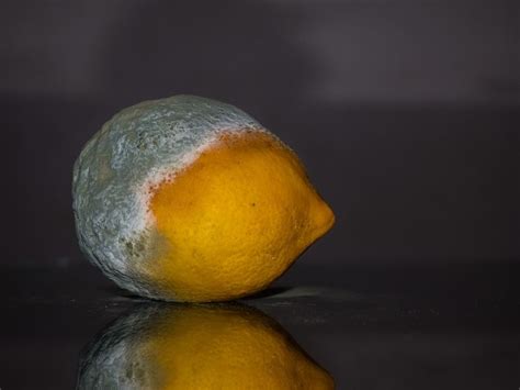 Лікарі розповіли чи безпечно їсти продукт зрізавши з нього цвіль