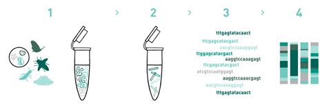 RNA Metabarcoding Service AllGenetics