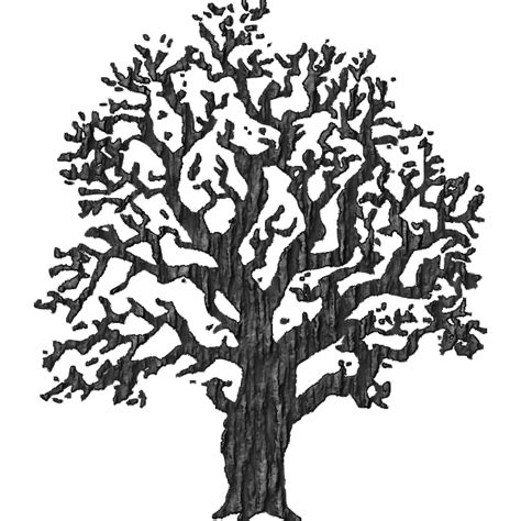 Tree With Bark Free SVG