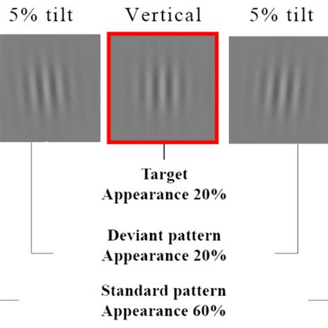 The Five Stimulus Patterns Of The Figure Displayed On The Monitor Download Scientific Diagram