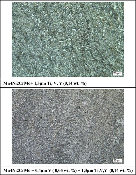 Micrographs Multi Component Coating And Multilayer Coating Download