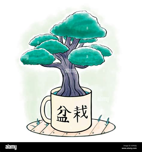 Bonsai Tree Drawing Hi Res Stock Photography And Images Alamy