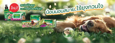 Scorpion Power System Co Ltd Ladies And Gentleman Prepare For