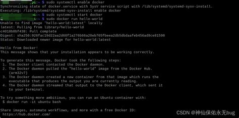树莓派如何在树莓派上安装docker 树莓派安装docker csdn博客