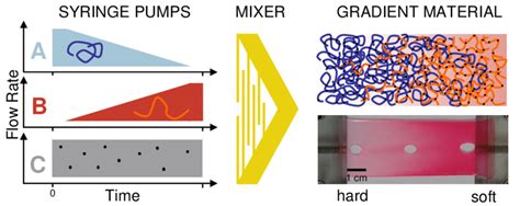 Schematic Illustration Of The Preparation Of Pdms Based Polymer Download Scientific Diagram