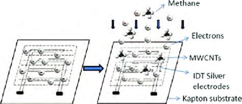 Schematic Of Methane Detection By A Chemo Resistive Sensor A Sensor Download Scientific