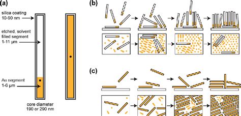 Figure 1 From Self Assembly Of Segmented Anisotropic Particles Tuning Compositional Anisotropy