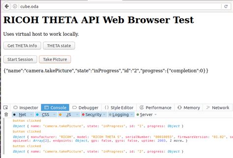 Access THETA S From Angular Browser With Reverse Proxy THETA API
