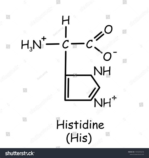 Histidine Amino Acid Structure Boc L Histidine 25 G