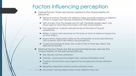 Perception In Ob Pdf