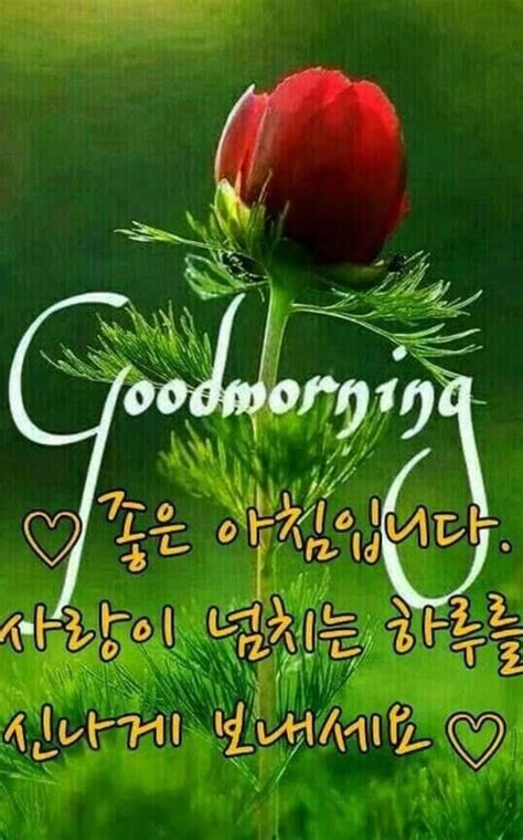목요일 아침인사 꾸벅꾸벅 뉴스트림