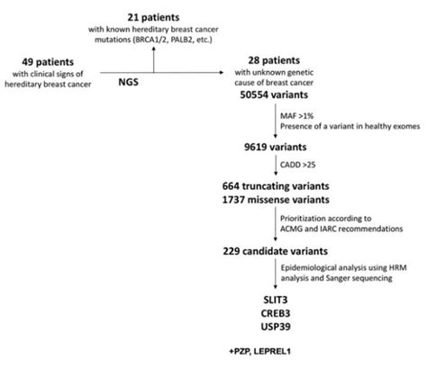 Algorithm Of Candidate Mutation Selection Download Scientific Diagram