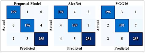 Dynamic Clustering Strategies Boosting Deep Learning In Olive Leaf