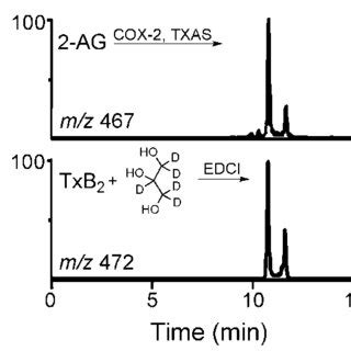 Chromatographic Confirmation Of The Identity Of TxB 2 G Selected Ion Download Scientific