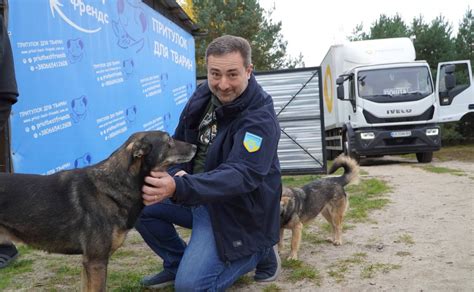 Укрпошта допомогла притулкам для тварин на Київщині Вечірній Київ