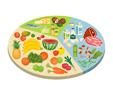 Premium Vector Food Circle Diagram In Flat Style