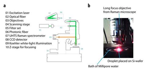 1 A Schematic Setup Of The Witec Alpha 300 Confocal Raman Microscope Download Scientific