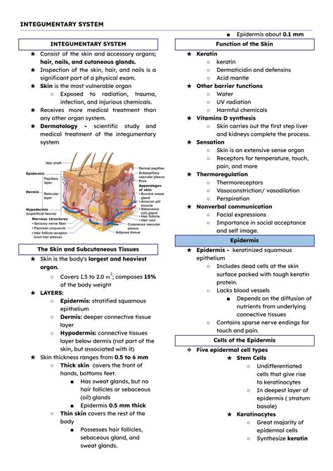 SOLUTION Integumentary System Notes Studypool