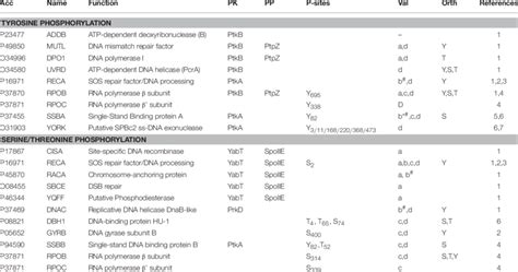 Dna Binding Proteins Targeted For Phosphorylation In B Subtilis