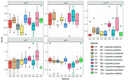 the dn ds values between each plastid gene in the laportea species are