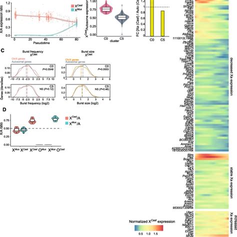 Allele Specific Scrna Seq Analysis Of Xcr During Ipsc Reprogramming A Download Scientific