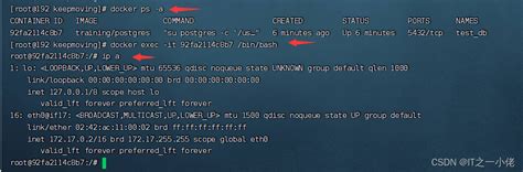 Docker中网络的使用和配置用法详解 Docker路由配置 Csdn博客