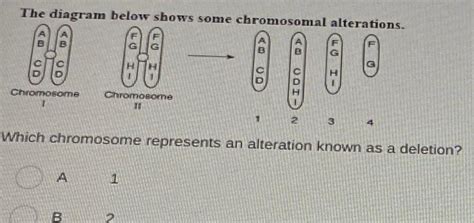 [answered] The Diagram Below Shows Some Chromosomal Alterations 00 Kunduz