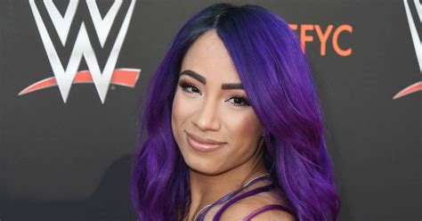 Fight Like A Girl Daniel Bryan Tells Bella Twins Nip Slips Make For Juicy Gossip But Take Away