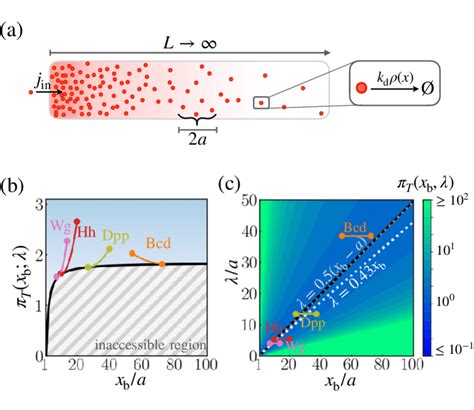 Cost Precision Trade Off Associated With The Space Time Averaged Download Scientific Diagram