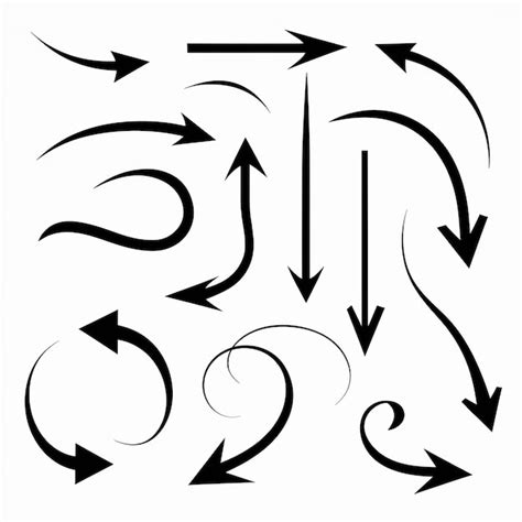Varied Black Arrows A Visual Collection Of Curves And Directions