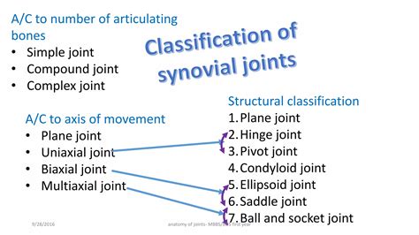 Anatomy Of Joints Pdf