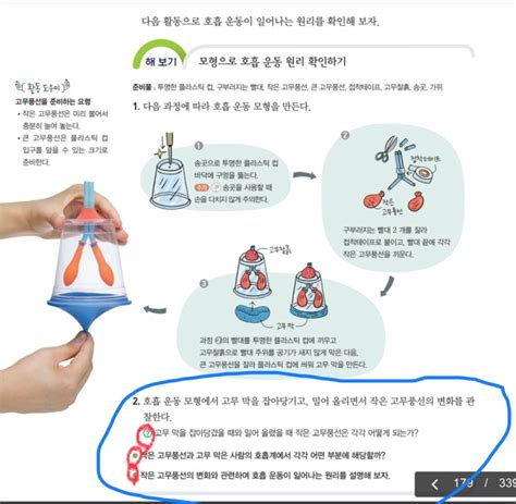 과학 중2 호흡운동 모형 지식in