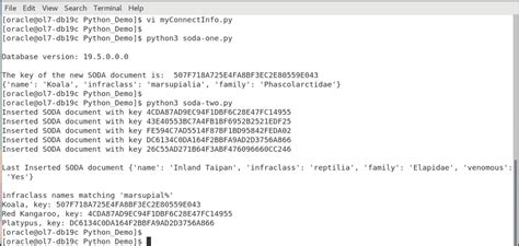 How To Use Json Soda Python And Oracle Autonomous Json Database