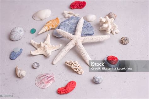 아름 다운 흰색 불가사리 조개 빨강 흰색과 파란색 산호 유리 바다 자갈 밝은 회색 현대 콘크리트 배경에 거짓말 해변에서 여름의 개념입니다 밝은 항해 엽서 여름 휴가 0명에