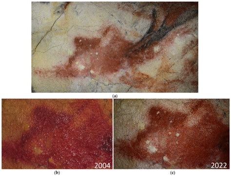 Remote Sensing Special Issue Remote Proximal Sensing And Geophysics For Cultural Heritage